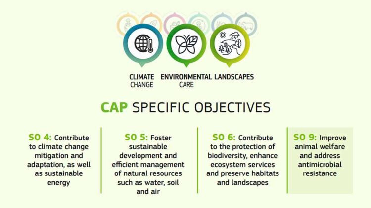 Common Agricultural Policy list of future #CAP eco-schemes